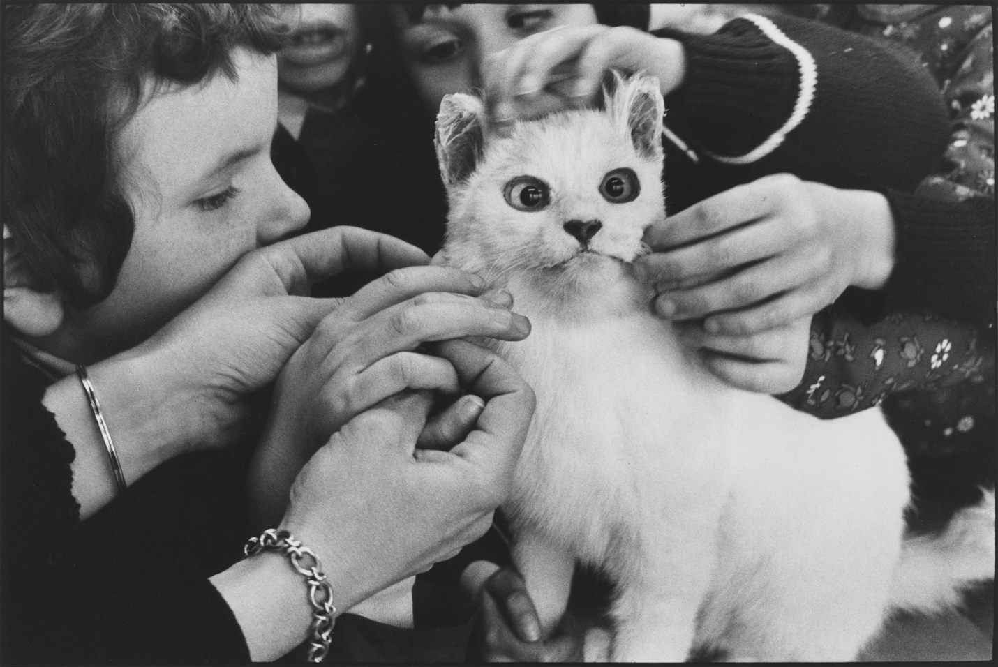 Le Chat Chelou - Art Explora Academy